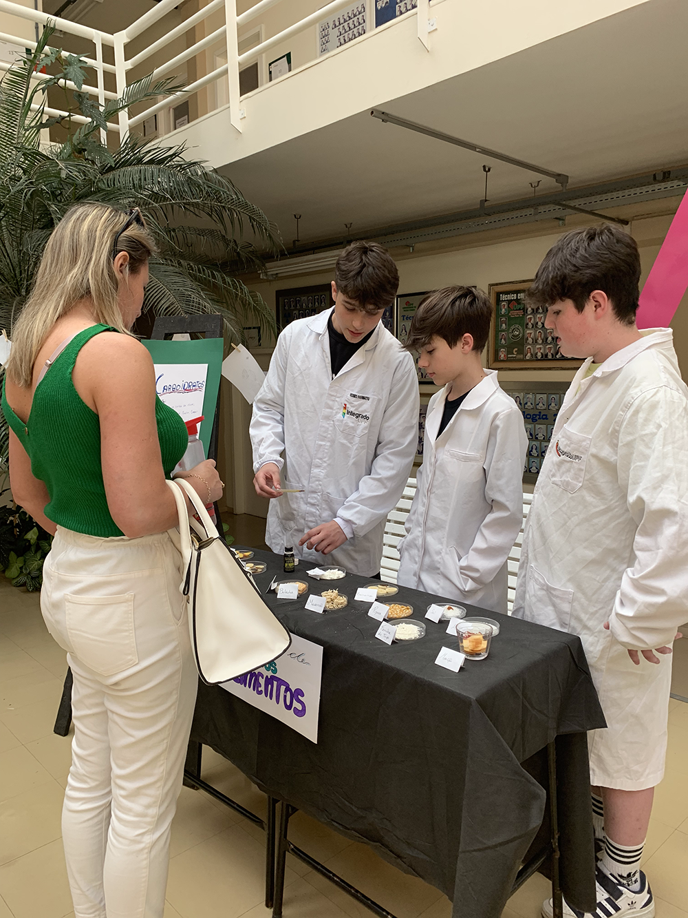 Portal - UPF | Universidade de Passo Fundo