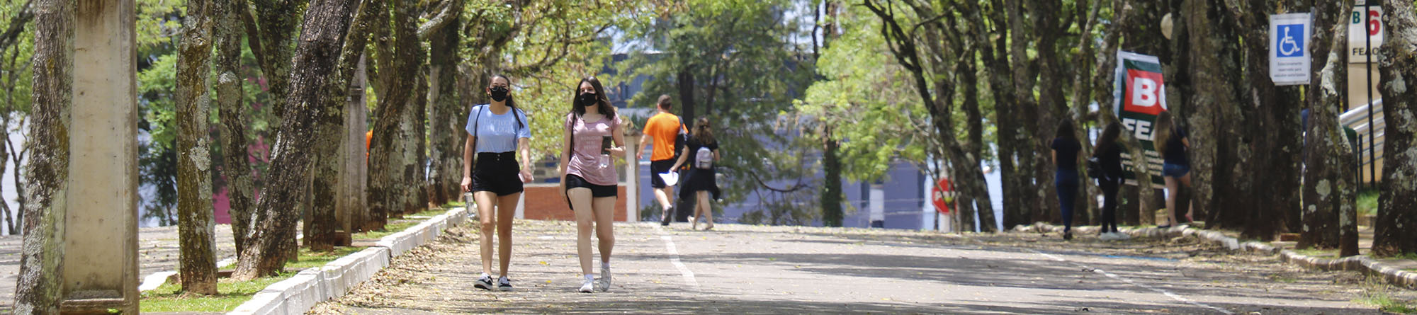 Portal - UPF | Universidade de Passo Fundo