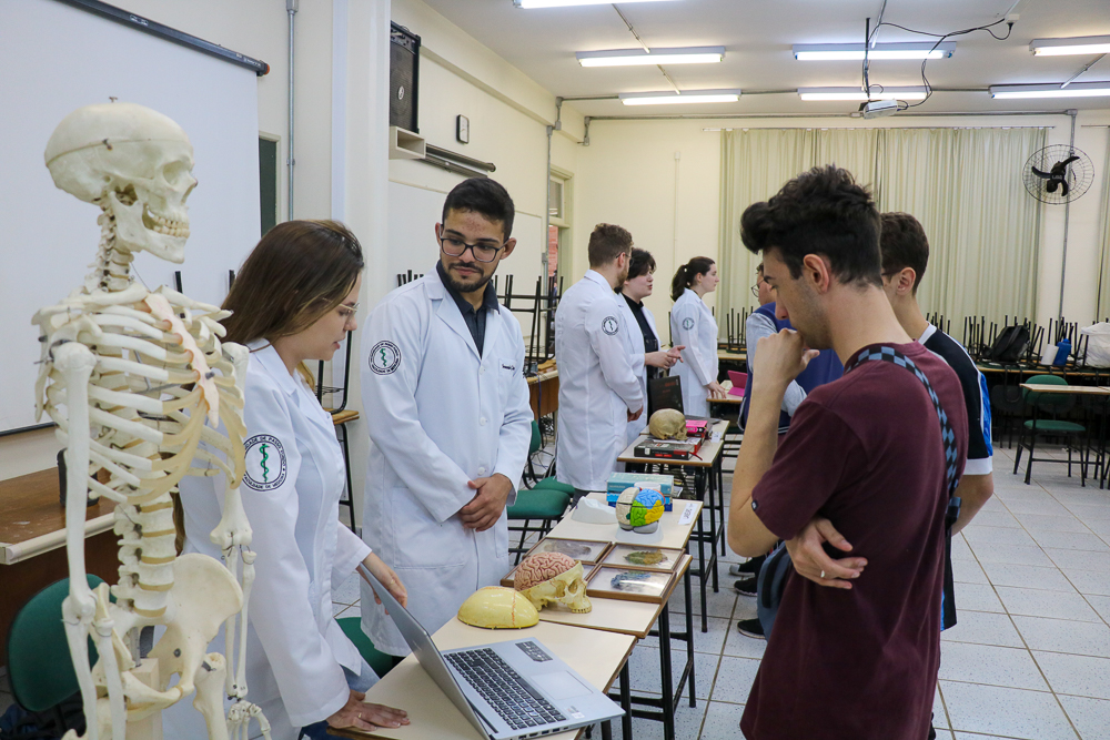 Interação Day UPF aproxima estudantes das futuras carreiras - UPF ...